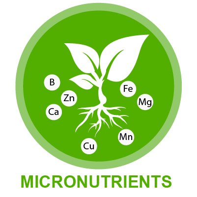 Micronutrient – Janatha Agro Products